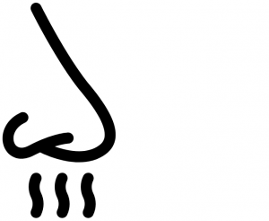 Midsomer Norton Library, Information and Advice Services - BaNES ...